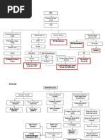 Pathway CKD Sdki | PDF