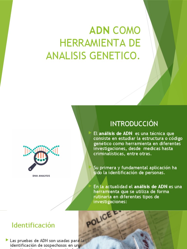 ADN COMO HERRAMIENTA DE ANALISIS GENETICO (Clase 1) | PDF | Prueba ...