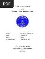 Raven Progressive Matrices RPM (CPM, SPM, APM) | PDF