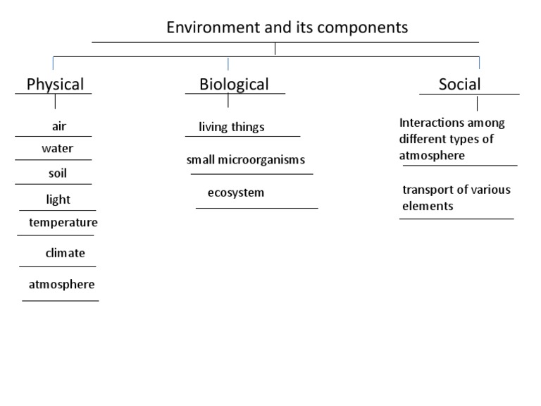 Environment and Its Components | PDF