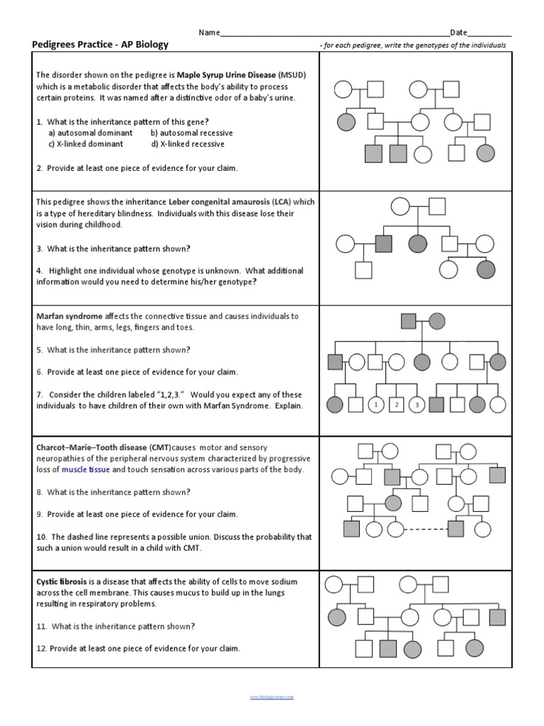 Pedigrees Practice - AP Biology: Leber Congenital Amaurosis (LCA) | PDF