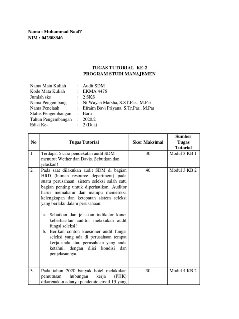 Audit SDM 2020 | PDF