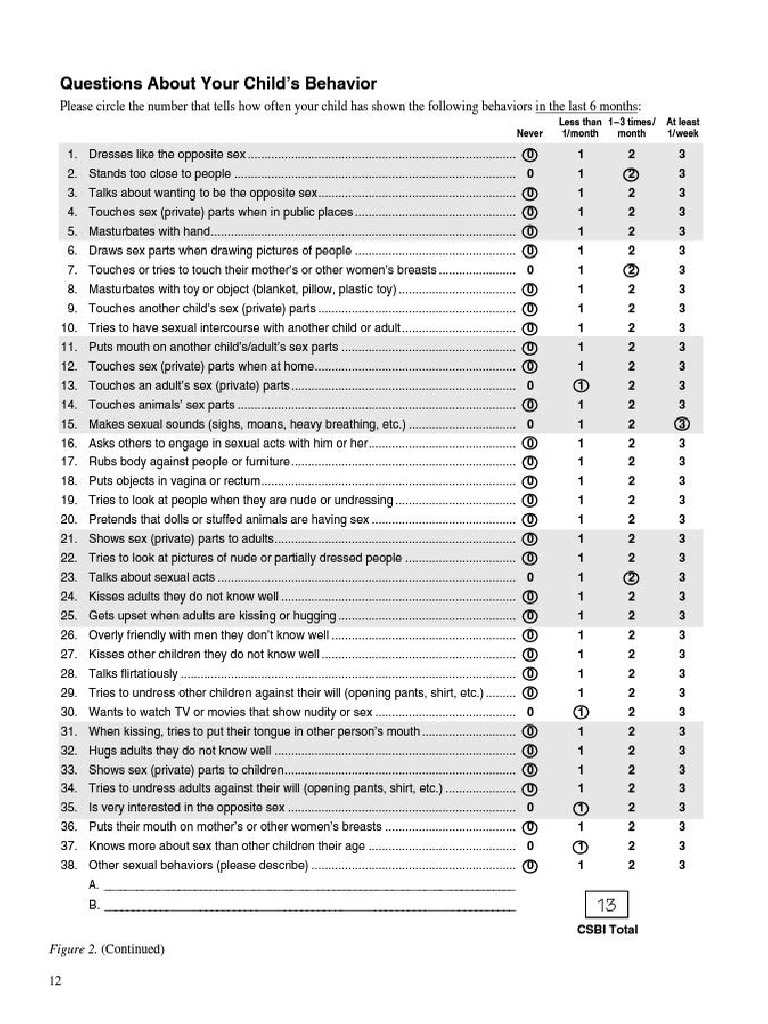 CSBI Friedrich | PDF