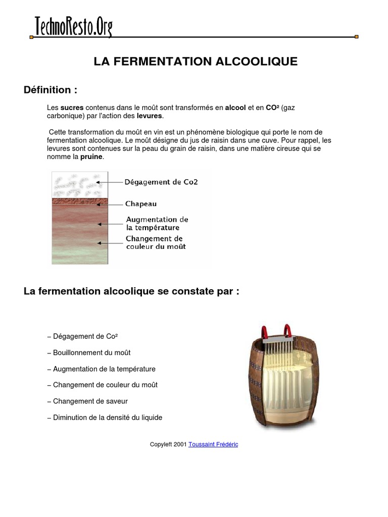 Fermentation Alcoolique | PDF