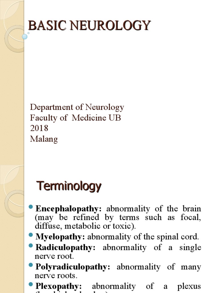 Basic Neurology 2018 | PDF | Central Nervous System | Perception