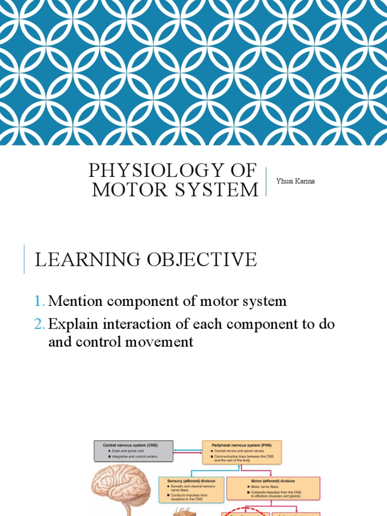 SISTEM SARAF MOTORIK - PD - SMT - 5 - Ardani | PDF | Motor Neuron ...