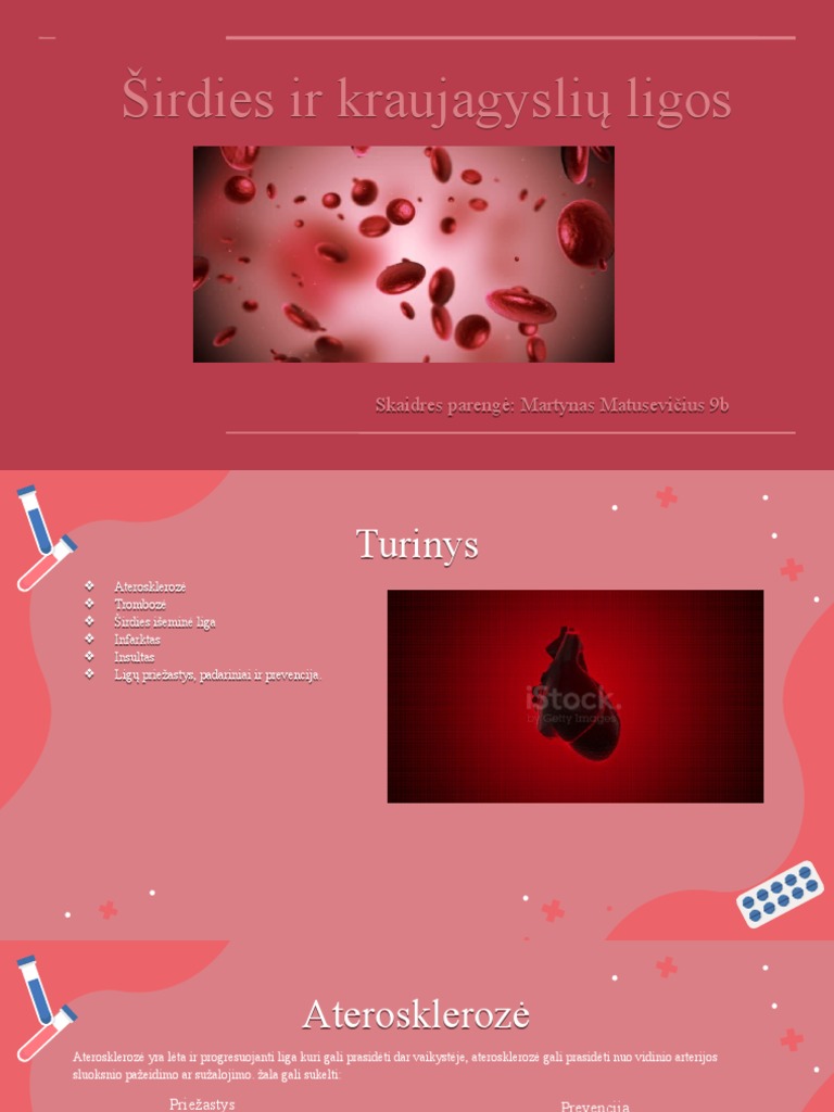 Širdies Ir Kraujagyslių Ligos M.M 9b | PDF