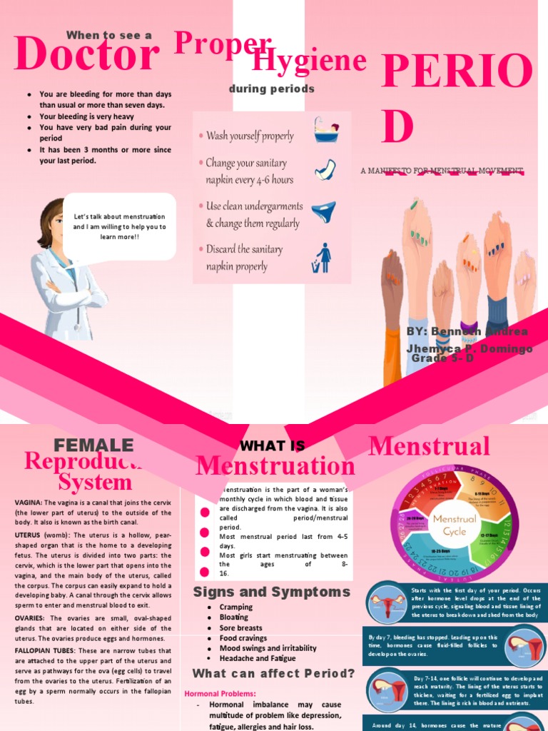 Menstrual Brochure | PDF | Menstrual Cycle | Menstruation