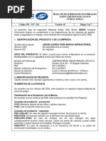 Dte 24 Hoja de Seguridad | PDF | Agua | Líquidos