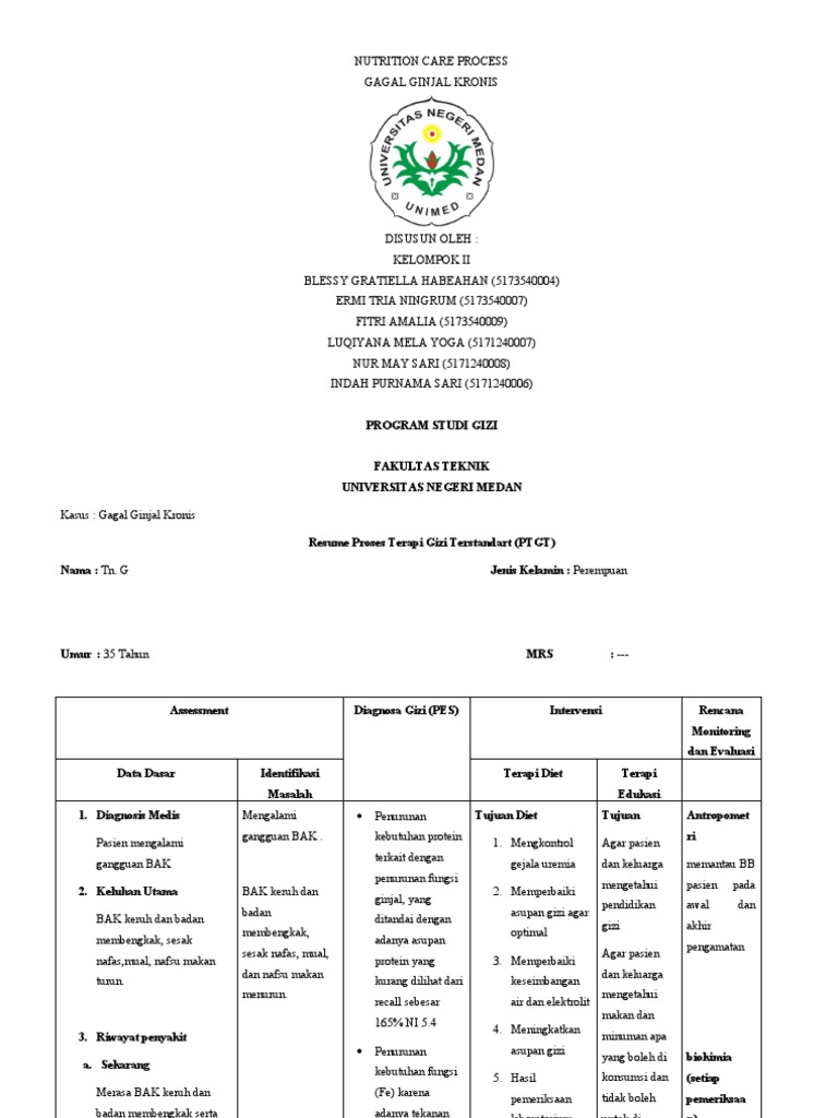 NCP Gagal Ginjal Kronis - Kelompok 2 | PDF