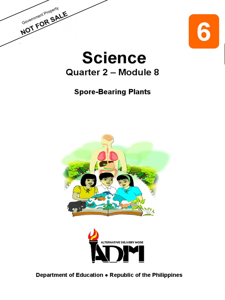 Science: Quarter 2 - Module 8 | PDF | Fern | Spore