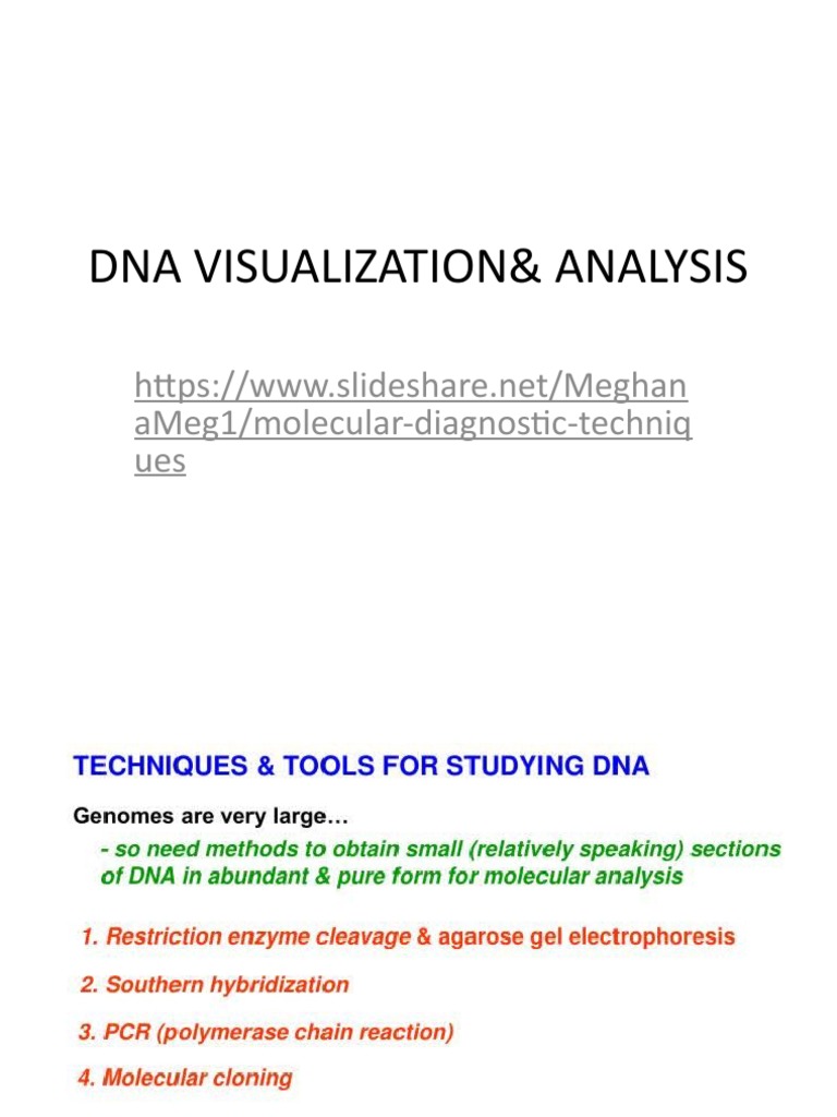 Dna Visualization& Analysis: Ameg1/Molecular-Diagnostic-Techniq Ues | PDF