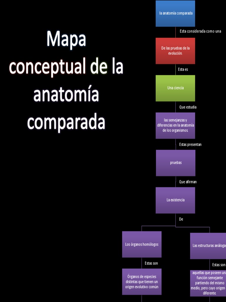 Mapa de La Anatomia Comparada - Biologia | PDF
