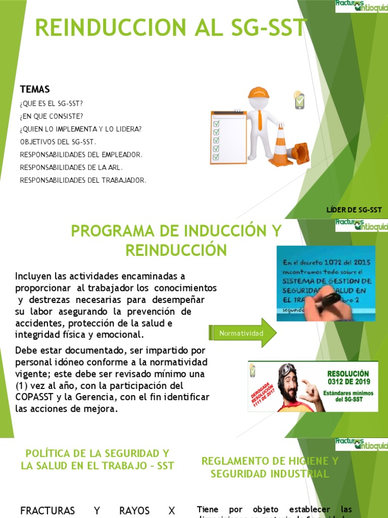Reinduccion Al SG-SST | PDF | Seguridad | Naturaleza