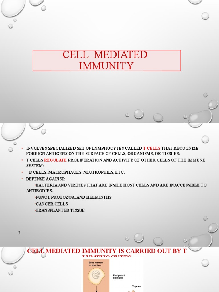 Cell Mediated Immunity Lect | Download Free PDF | Immune System | Antigen