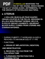 Tah Bso | PDF | Uterus | Gynaecology