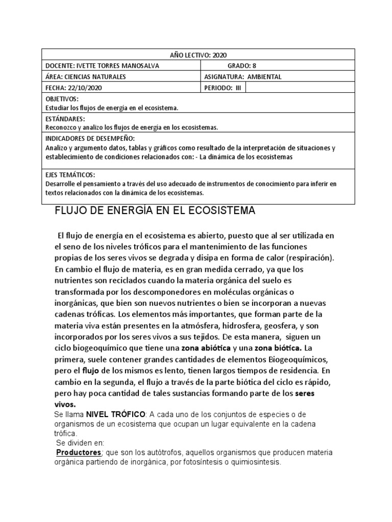 Flujo de Energia en El Ecosistema Original Ultimo | PDF | Ecosistema ...