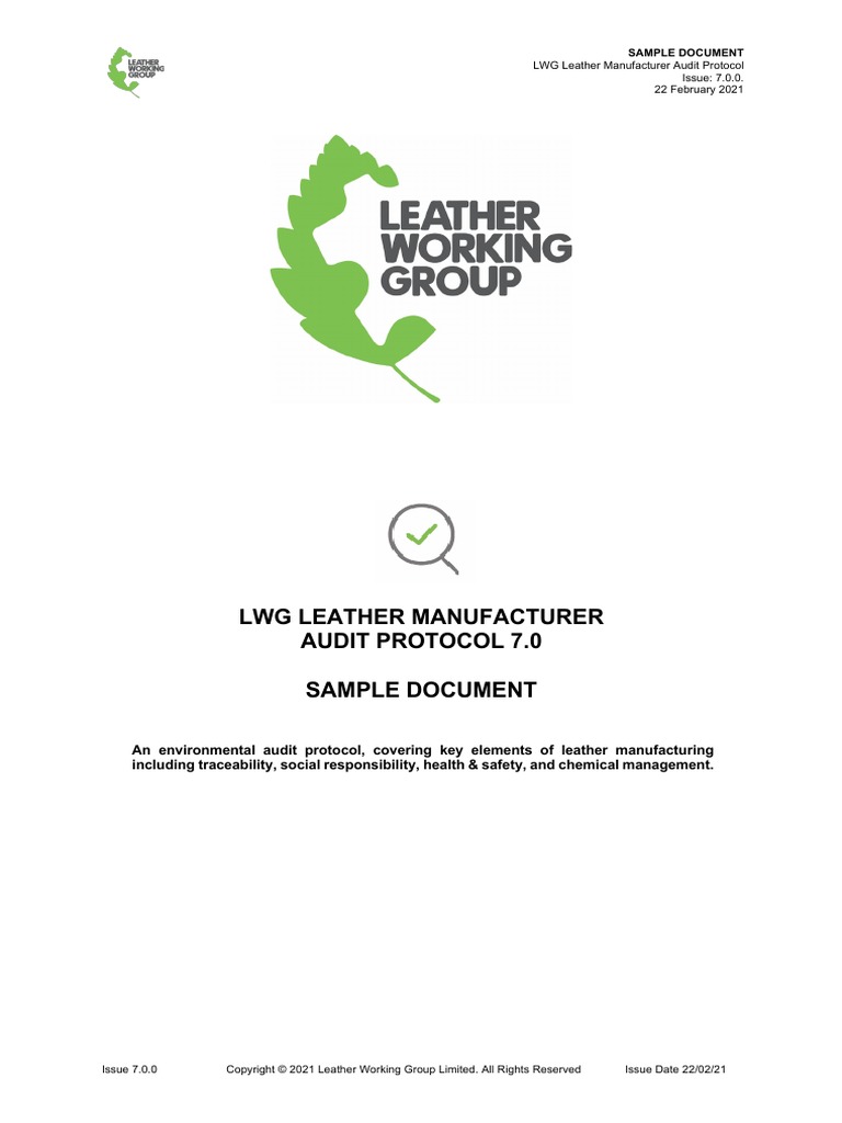p7 Sample-987 | PDF | Leather | Audit