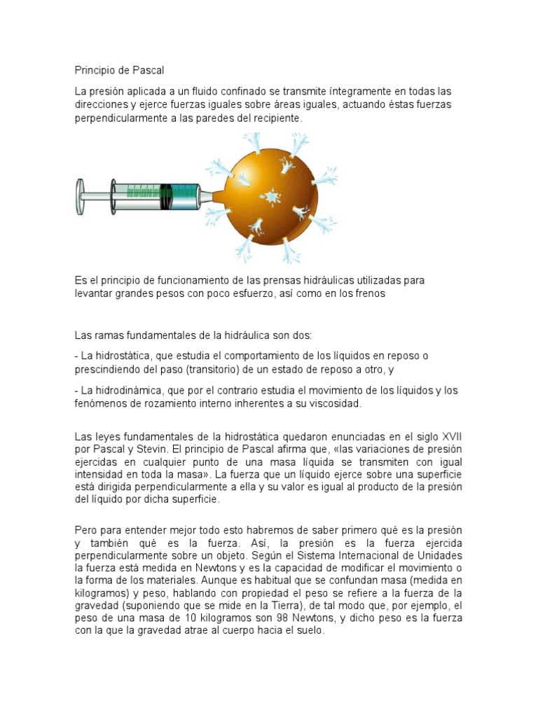 Principio de Pascal y Presión Hidráulica | PDF | Masa | Fuerza