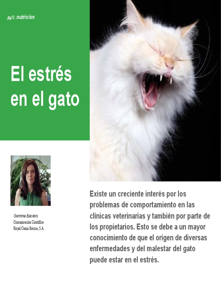 Estrés y salud en gatos | PDF | Estrés (biología) | Gatos
