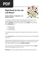 14 Answer Key Beaks of Finches Lab | PDF | Adaptation | Natural Selection