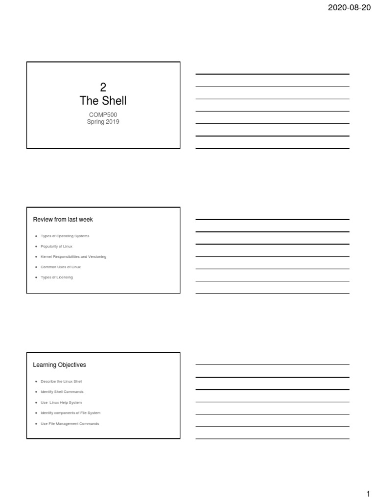 The Shell | PDF | Shell (Computing) | Computer File