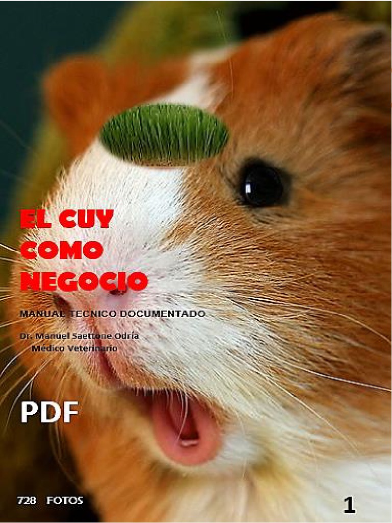 Manual Cuy | PDF | Color | Pelo