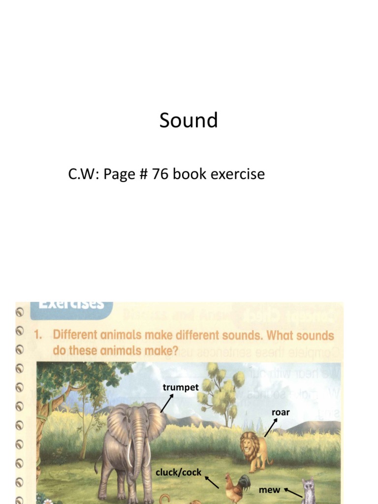 Sound Exercise | PDF