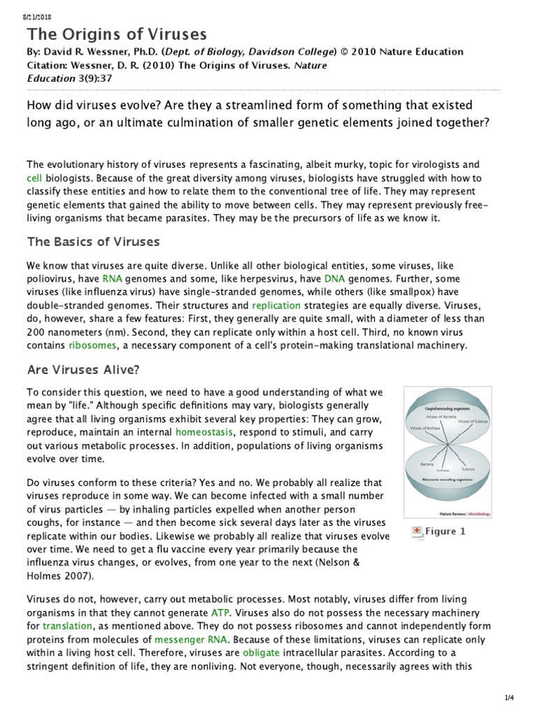 The Origins of Viruses | PDF | Retrovirus | Virus