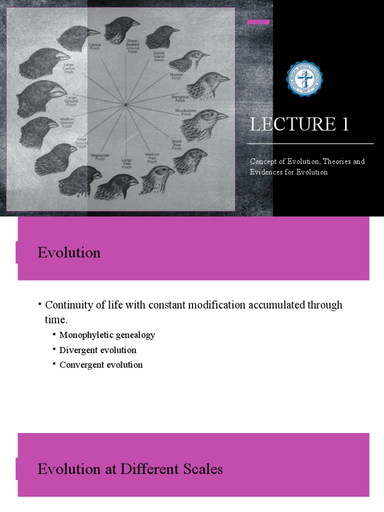 Lecture 1 - Evo Bio Concepts and Theories | PDF | Natural Selection ...