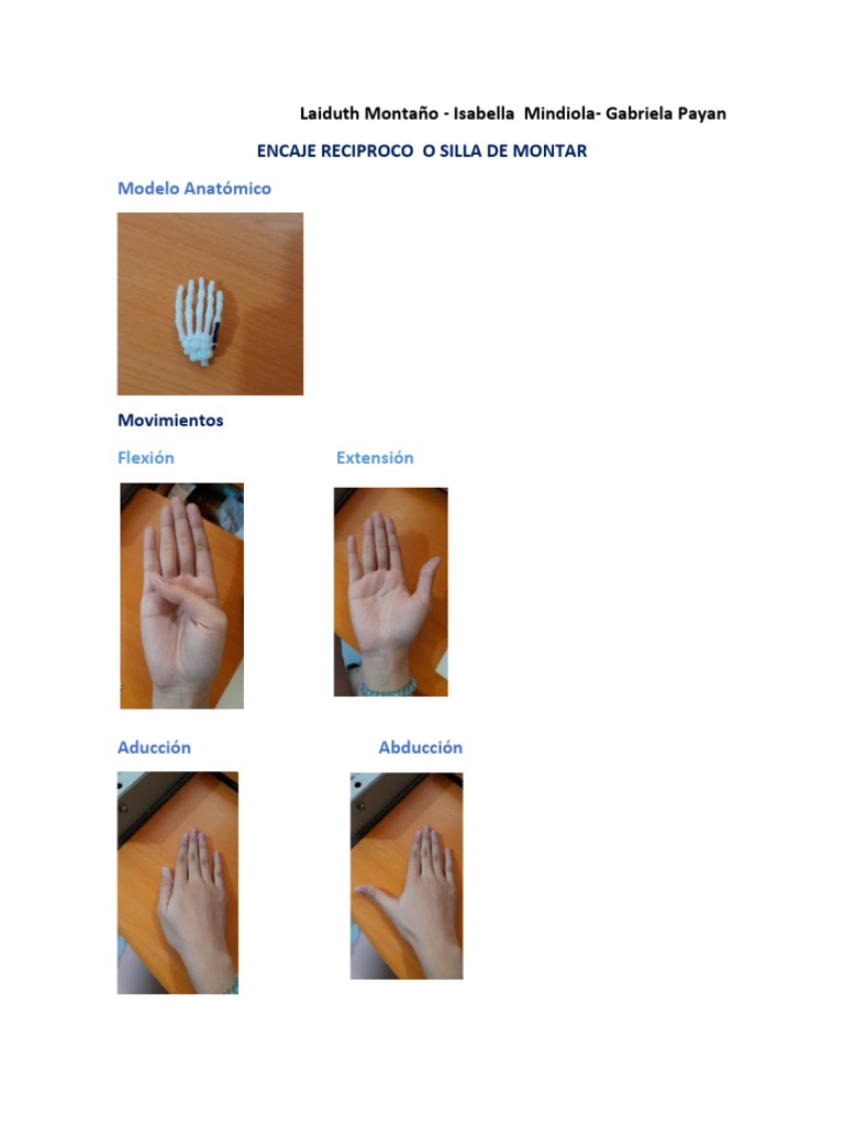 Encaje Reciproco o Silla de Montar | PDF