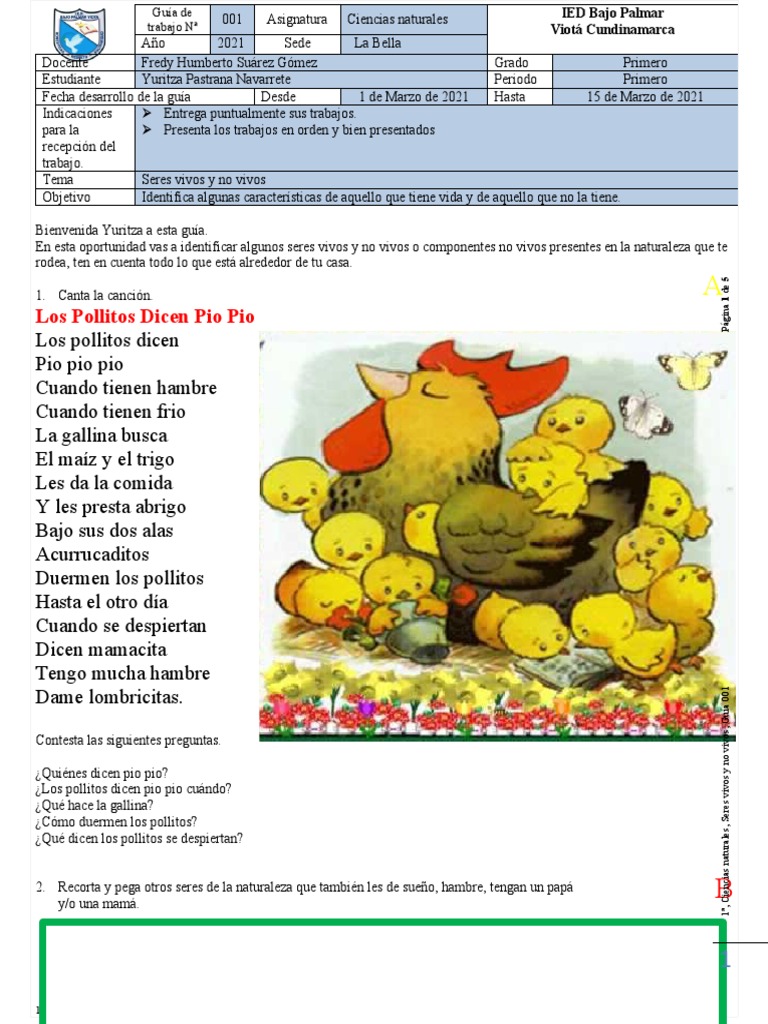 Guía sobre Seres Vivos y No Vivos | PDF | Vida | Naturaleza