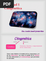 Clase#2 Dotación Cromosomica. | PDF | Cromosoma | Biología Celular)