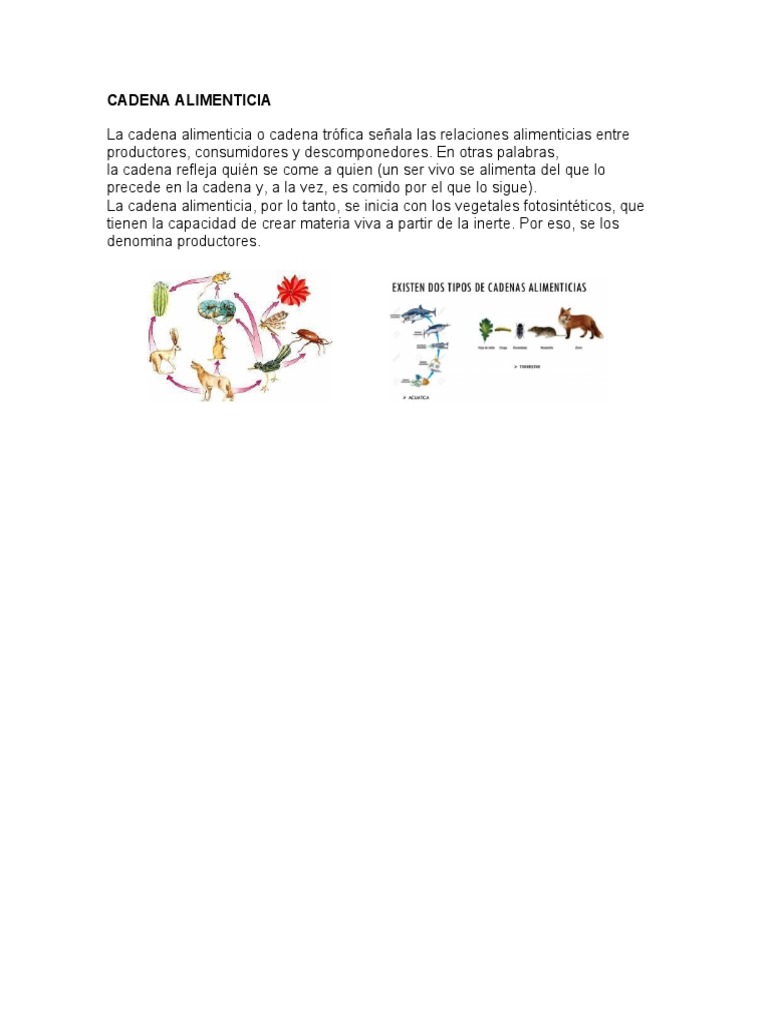 Cadena Alimenticia | PDF