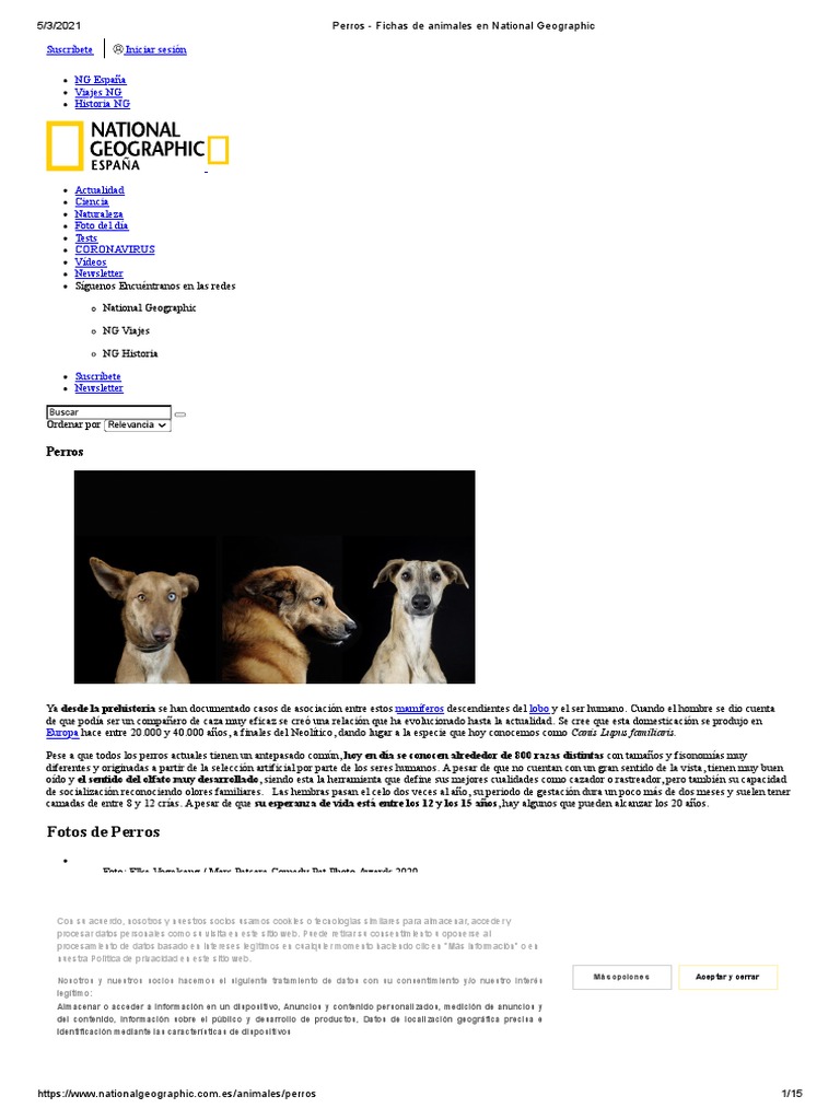 Perros - Fichas de Animales en National Geographic | PDF | Naturaleza ...