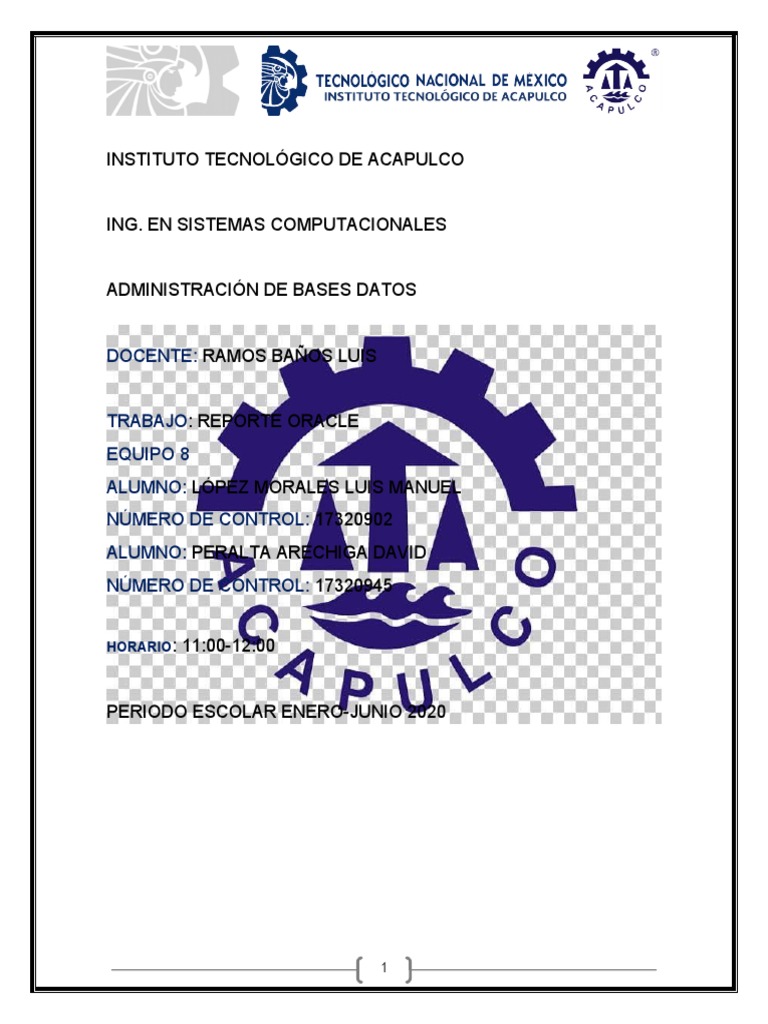 Reporte Oracle | PDF | SQL | Bases de datos
