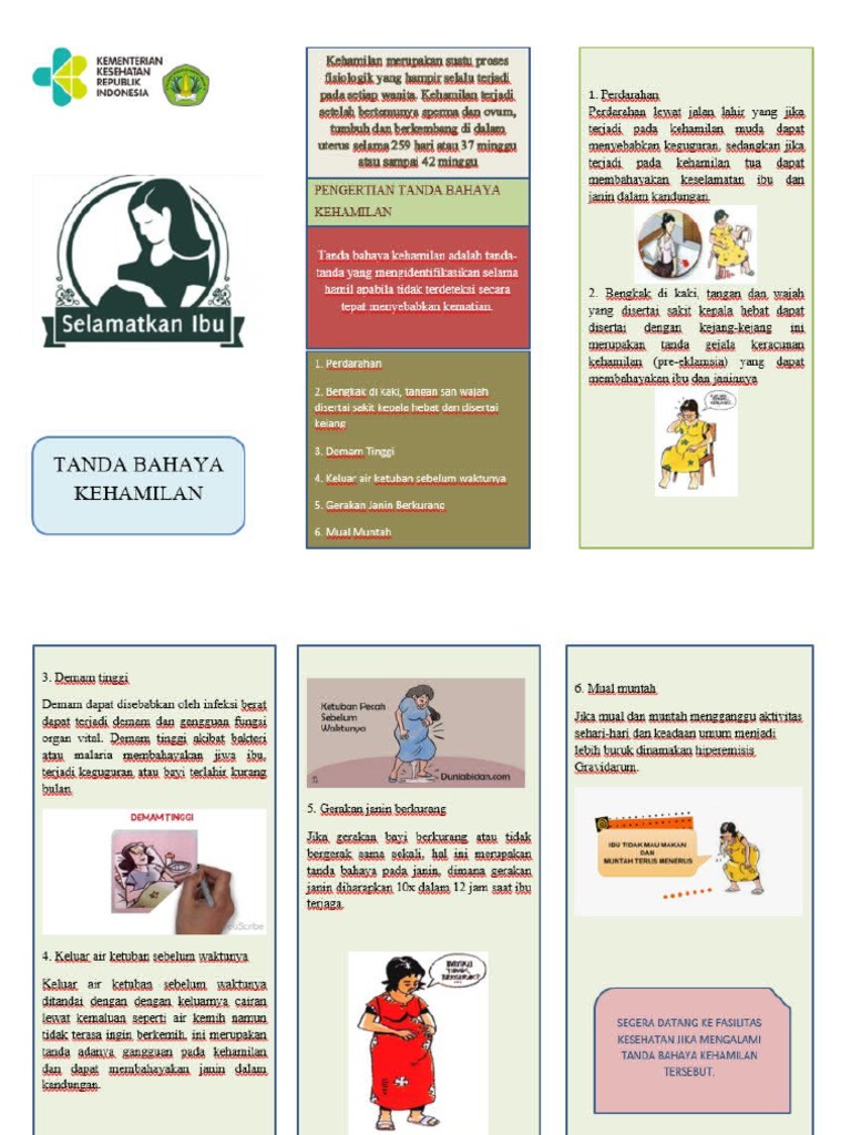 Leaflet Tanda Bahaya TM III | PDF