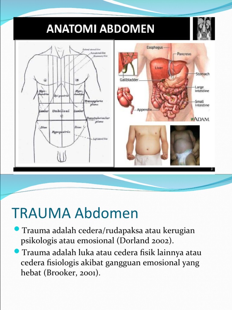 Trauma Abdomen | PDF