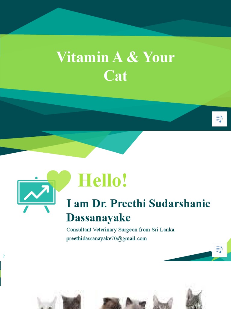 Vitamin A - Cats | PDF