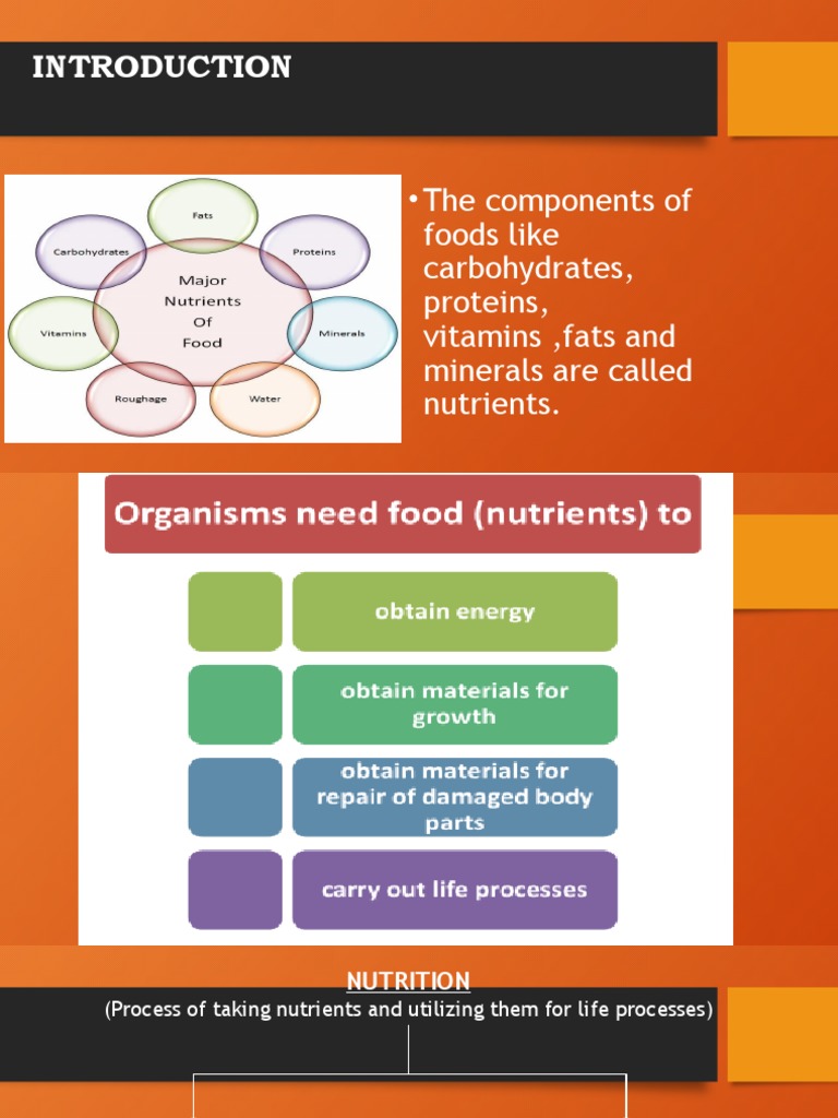 Nutrition Modes in Plants Explained | PDF | Nutrition | Diet & Nutrition