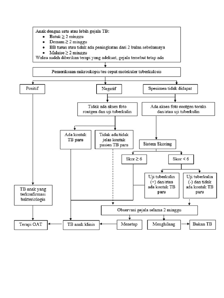 Alur Tatalaksana TB | PDF