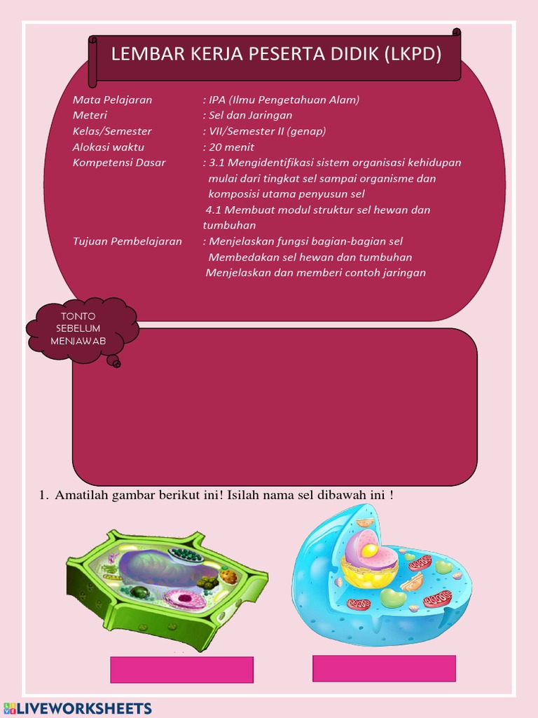 LKPD Pengenalan Sel Kelas 8 | PDF