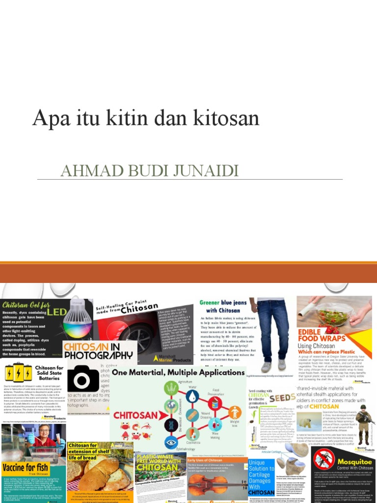Kitin Dan Kitosan | PDF