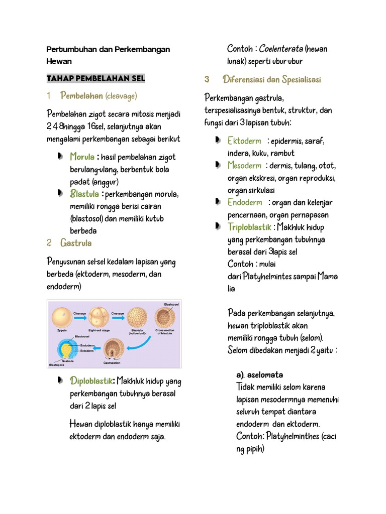 Pertumbuhan Dan Perkembangan Hewan | PDF