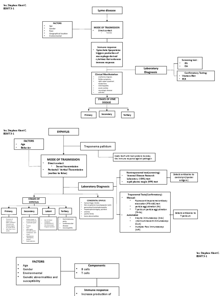 Concept Map | PDF | Immune System | Antibody