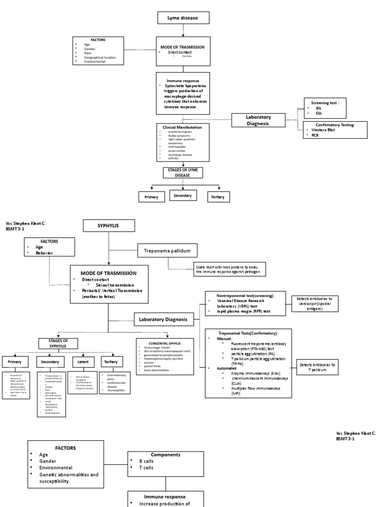 Concept Map | PDF | Immune System | Autoimmunity