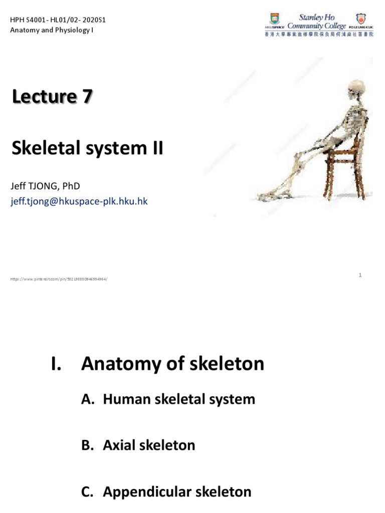 2020-2021 AP 1 Lecture 7 Skeletal System 2 | PDF | Anatomical Terms Of ...