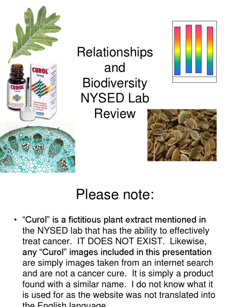 Relationships and Biodiversity Nysed Lab Review | PDF | Botany | Gel ...