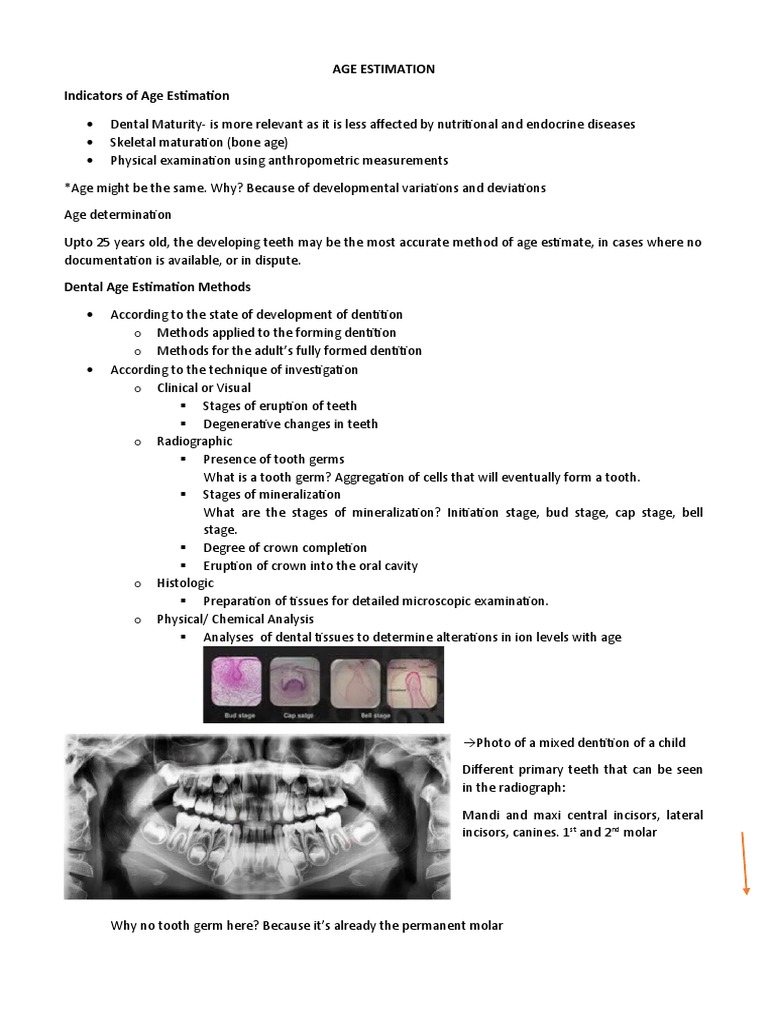 Dental Age Estimation Through Developmental Stages and Mineralization ...