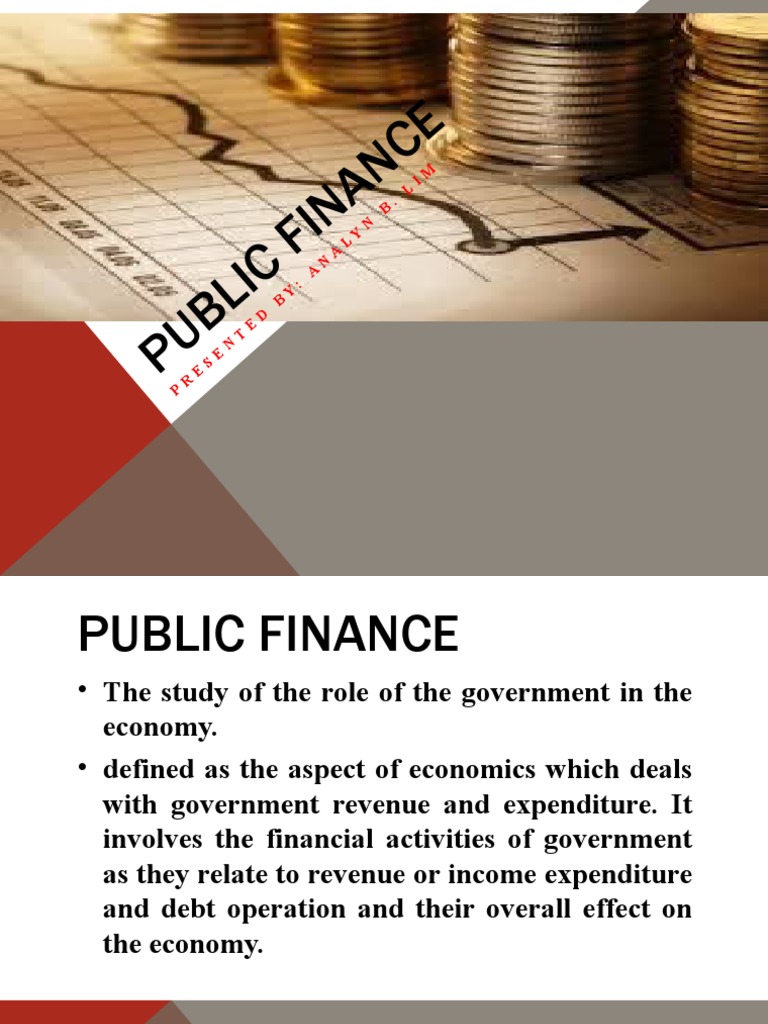Public Finance Report | PDF | Fiscal Policy | Public Finance